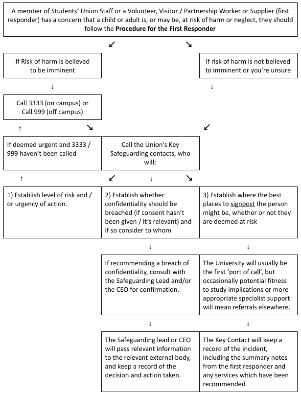 Safeguarding - Appendix 4 — University of Sussex Students' Union